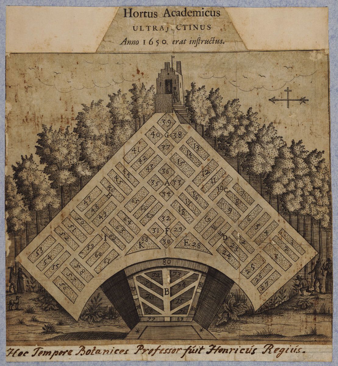 Hortus Medicus op bolwerk Sonnenborg